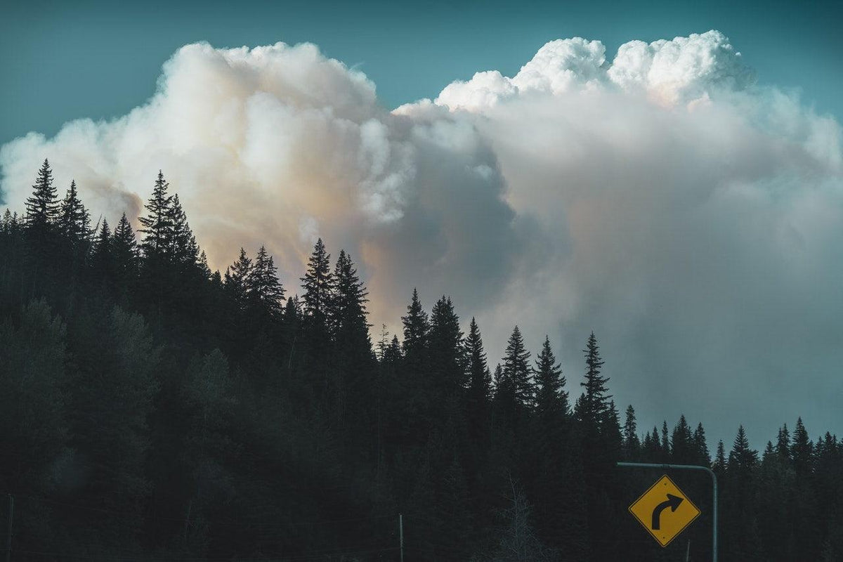 How to Remove Wildfire Smoke Smell from Your Home – VITAL OXIDE